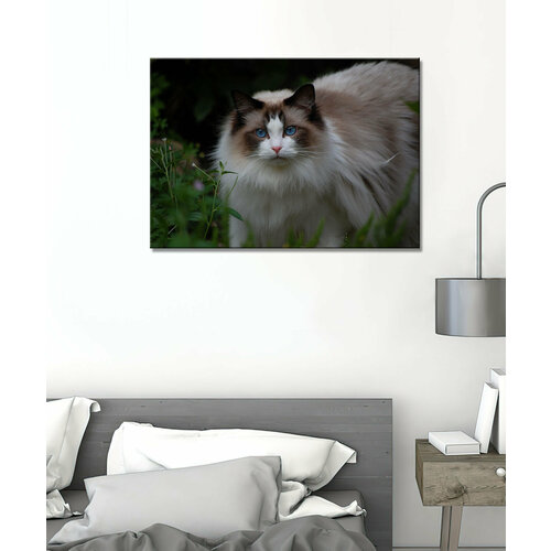 Картина - кошка, рэгдолл, домашняя кошка, ласковая кошка, кот (266) 30х40