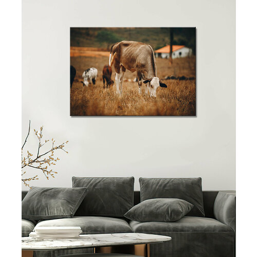 Картина -Корова, пастбище, корова пасется, корова на пастбище, бык (10) 20х30
