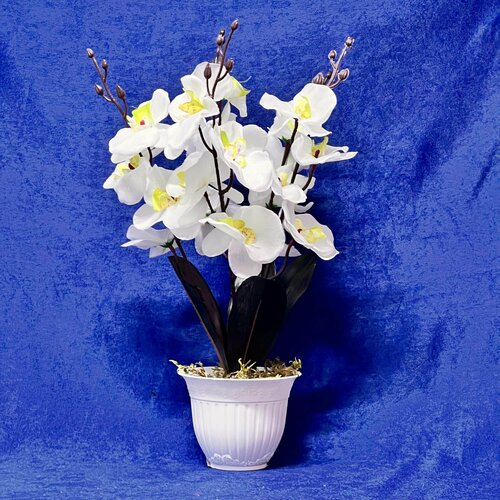 Искусственные цветы Белая орхидея в плошке