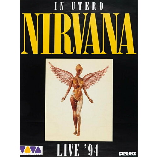 Плакат, постер на холсте Nirvana/Нирвана/музыкальные/поп исполнитель/артист/поп-звезда/группа. Размер 30 х 42 см