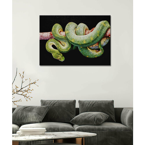 Картина - змея, зелёный питон, змея на ветке (8) 50х70