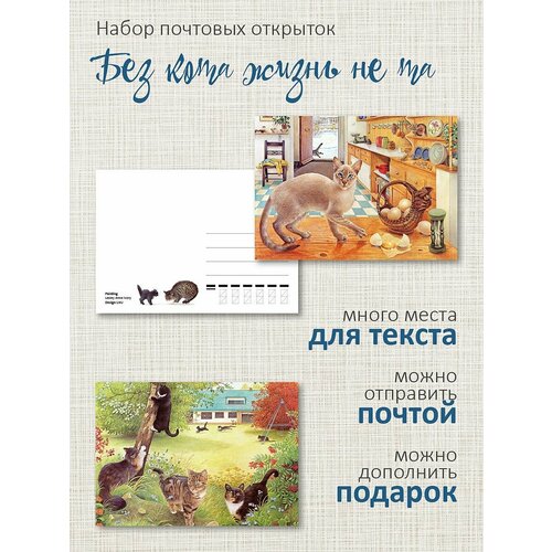 Набор почтовых открыток "Без кота жизнь не та"