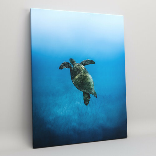 Картина на холсте (интерьерный постер) "Морская черепаха" моря и океаны, с деревянным подрамником, размер 45x60 см