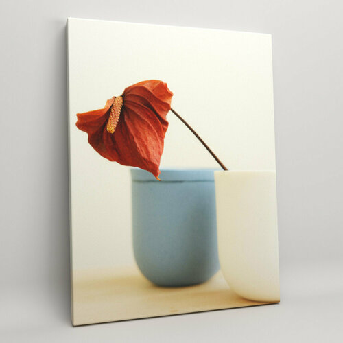 Картина на холсте (интерьерный постер) "Цветок Физалис в сканди стиле", с деревянным подрамником, размер 30x40 см