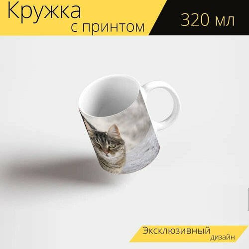 Кружка с рисунком, принтом "Кошка, животное, домашний питомец" 320 мл.