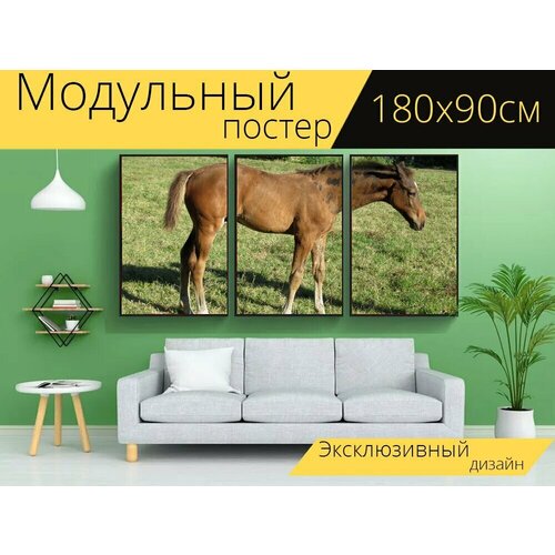 Модульный постер "Жеребенок, лошадь, лошади" 180 x 90 см. для интерьера