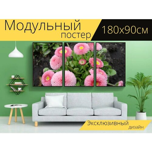 Модульный постер "Маргаритки, розовые цветы, хризантема" 180 x 90 см. для интерьера