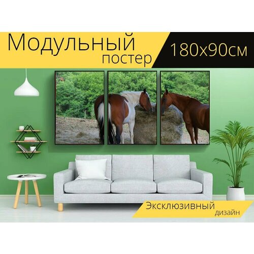 Модульный постер "Лошадь дружба, привязанность, все вместе" 180 x 90 см. для интерьера
