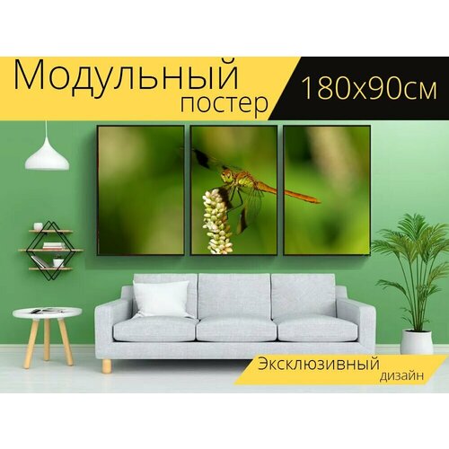 Модульный постер "Стрекоза, лужайка, летом" 180 x 90 см. для интерьера