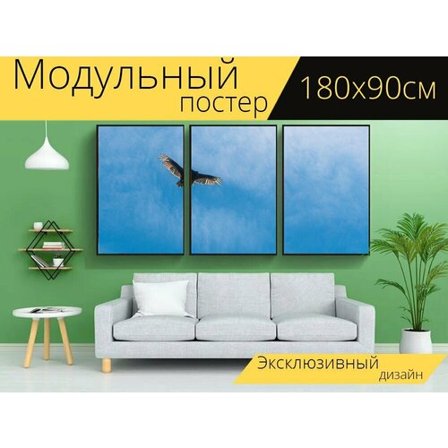Модульный постер "Птица, ястреб, парить" 180 x 90 см. для интерьера