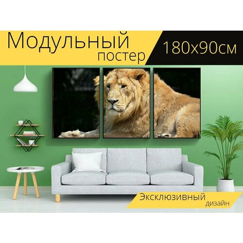 Модульный постер "Лев, животное, млекопитающее" 180 x 90 см. для интерьера