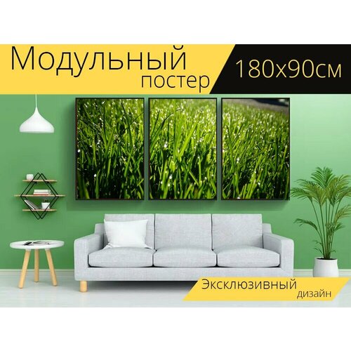 Модульный постер "Трава, капать, зеленый" 180 x 90 см. для интерьера