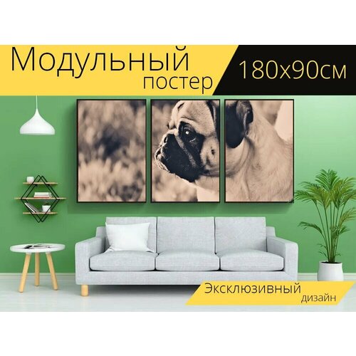 Модульный постер "Мопс, собака, домашнее животное" 180 x 90 см. для интерьера