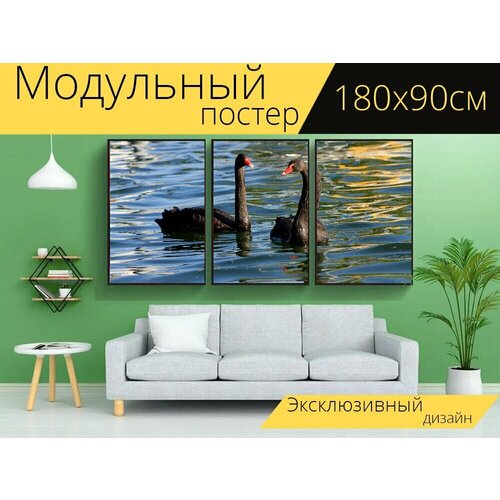 Модульный постер "Лебедь, лебеди, черный лебедь" 180 x 90 см. для интерьера