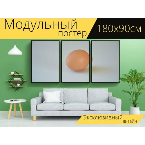 Модульный постер "Яйцо, куриное яйцо, органический" 180 x 90 см. для интерьера