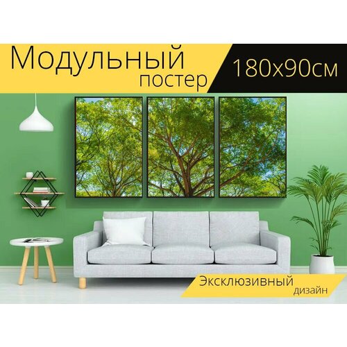 Модульный постер "Дерево, зеленый, природа" 180 x 90 см. для интерьера