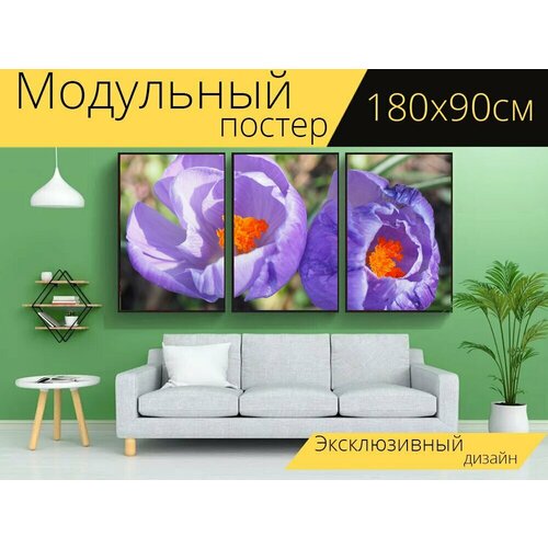 Модульный постер "Крокусы, крокус, весна" 180 x 90 см. для интерьера