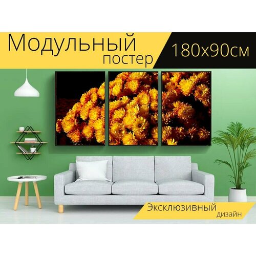 Модульный постер "Хризантемы, цветы, блум" 180 x 90 см. для интерьера