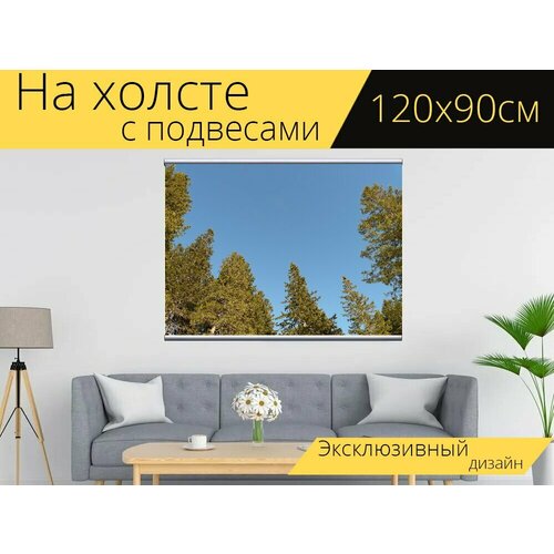Картина на холсте "Еловый лес, ель, дерево" с подвесами 120х90 см. для интерьера