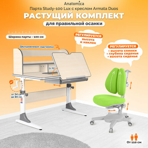 Комплект Anatomica парта + кресло, цвет клен/серый с зеленым креслом