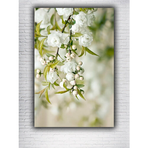 Картина/Картина на холсте/Картина на холсте для интерьера/Картина на стену/Картина в подарок для дома/- Белые цветы на ветке весна 30х40