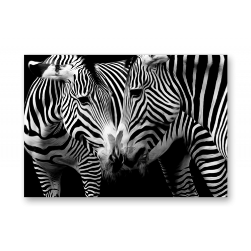 Картина на стекле | Diva Kartina | Природа. Животные. Две зебры | 100X70 см | Интерьерный постер