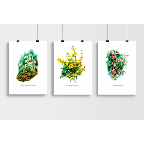Набор интерьерных плакатов без рамы (3шт) Цветение/Эстетика/Арт/ Плакат на стену 30х42 см / Постер формата А3