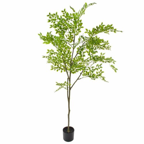 Nobilis Marco Plants Искусственное дерево Сибирский Вяз H220 см
