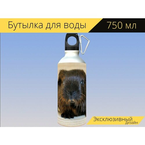 Бутылка фляга для воды "Морская свинка, детеныш, гладкие волосы" 750 мл. с карабином и принтом