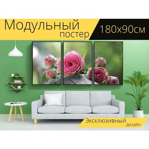 Модульный постер "Розы, розовые розы, лепестки" 180 x 90 см. для интерьера