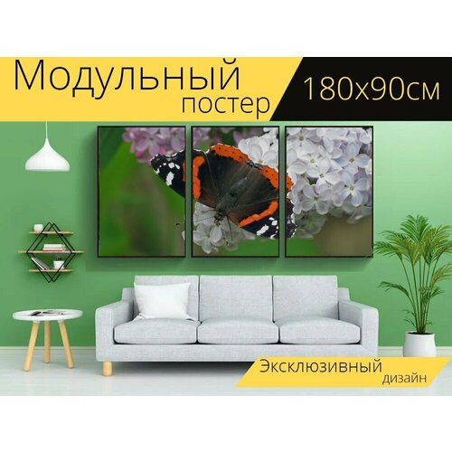 Модульный постер "Нектар, али, бабочка" 180 x 90 см. для интерьера
