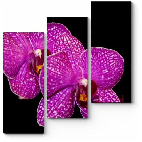 Модульная картина Тропическая орхидея 80x85