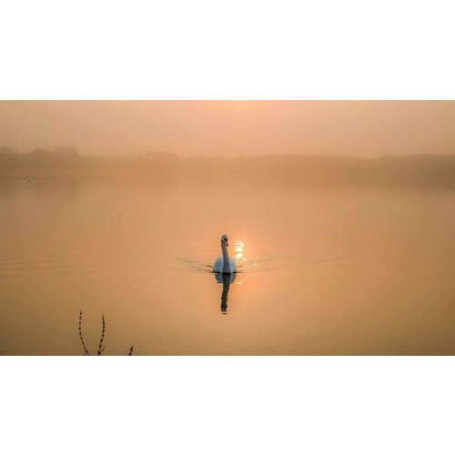 Картина на холсте 60x110 LinxOne "Озеро утро рассвет птица лебедь" интерьерная для дома / на стену / на кухню / с подрамником