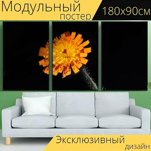 Модульный постер "Сорняк, цветок, природа" 180 x 90 см. для интерьера