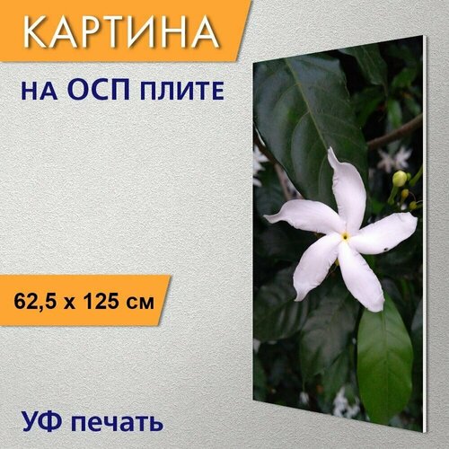 Вертикальная картина на ОСП "Цветок, белый цветок, зеленый" 62x125 см. для интерьериа