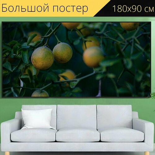 Большой постер "Апельсин, фрукты, осень" 180 x 90 см. для интерьера