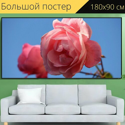 Большой постер "Розовая роза папиллон, цветок, лепестки" 180 x 90 см. для интерьера