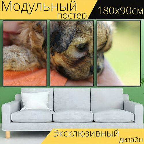 Модульный постер "Щенок, коричневый щенок, домашний питомец" 180 x 90 см. для интерьера
