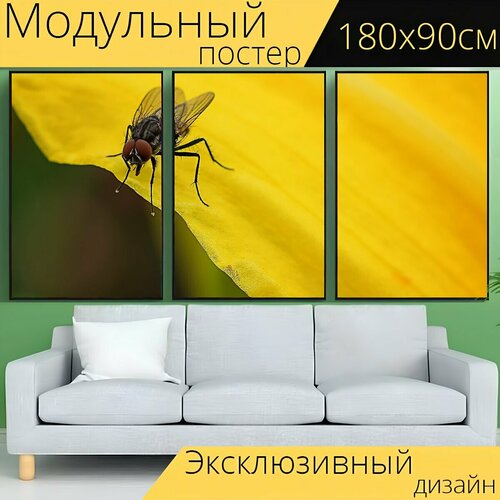Модульный постер "Летать, насекомое, природа" 180 x 90 см. для интерьера