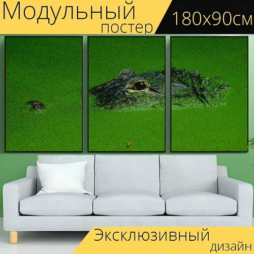 Модульный постер "Крокодил, воды, животное" 180 x 90 см. для интерьера