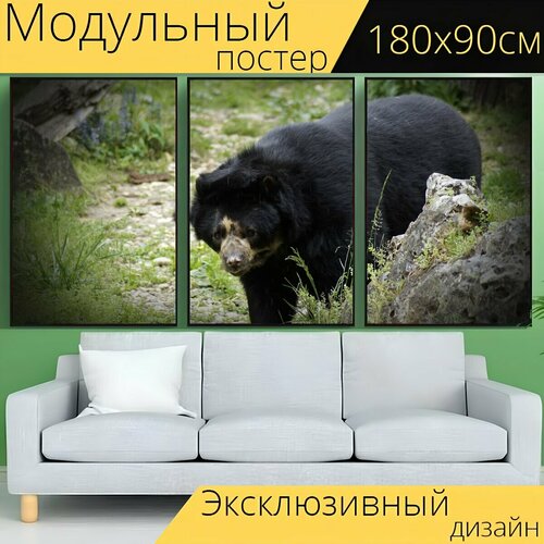 Модульный постер "Черный медведь, животное, дикая природа" 180 x 90 см. для интерьера
