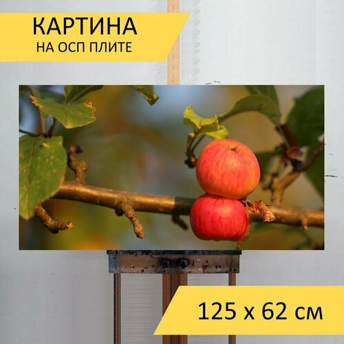 Картина на ОСП 125х62 см. "Яблоко, фрукты, природа" горизонтальная, для интерьера, с креплениями