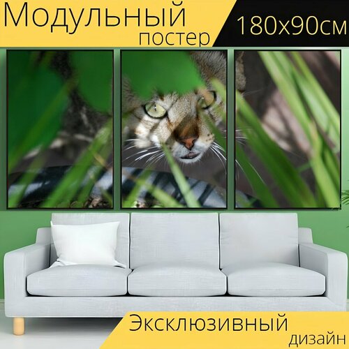 Модульный постер "Кошка, гато, домашний питомец" 180 x 90 см. для интерьера