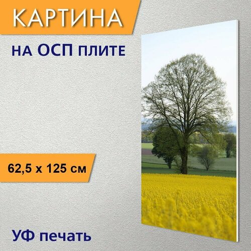 Вертикальная картина на ОСП "Рапс, желтый, дерево" 62x125 см. для интерьериа
