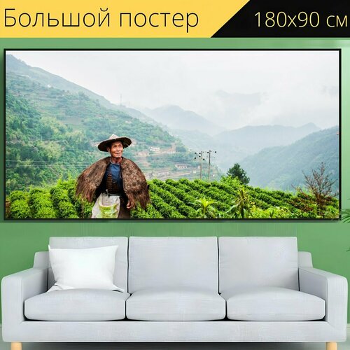 Большой постер "Чайный сад, чайный фермер, сбор чая" 180 x 90 см. для интерьера