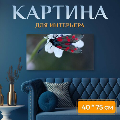 Картина на холсте "Бабочка, цветной, флюгер" на подрамнике 75х40 см. для интерьера