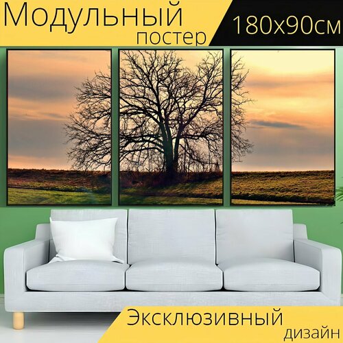 Модульный постер "Дерево, поле, заход солнца" 180 x 90 см. для интерьера