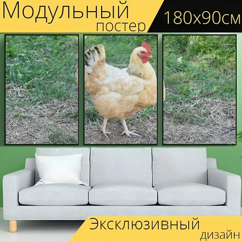 Модульный постер "Курица, курица новой, курица в белый цвет" 180 x 90 см. для интерьера