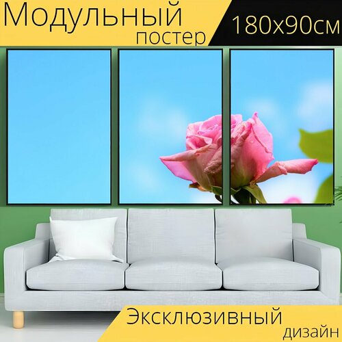 Модульный постер "Роза, цветок, цвести" 180 x 90 см. для интерьера