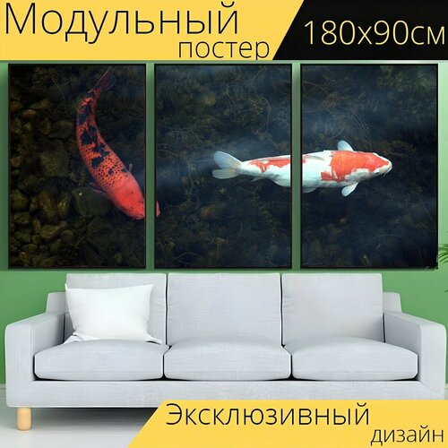 Модульный постер "Кои, карп, марина мотивы" 180 x 90 см. для интерьера